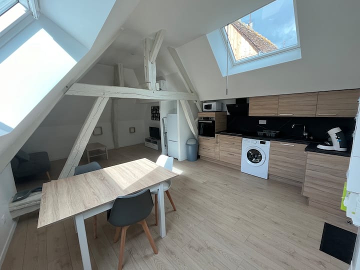 Bel Appartement Neuf En Plein Cœur De Montargis - Lac des Closiers