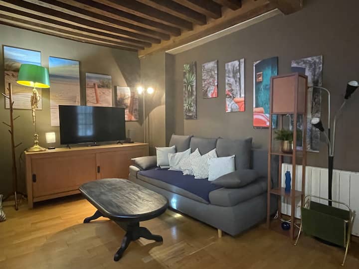 Nid Douillet Au Cœur Du Vieux Chalon - Chalon-sur-Saône