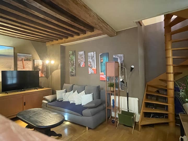 Nid Douillet Au Cœur Du Vieux Chalon - Chalon-sur-Saône