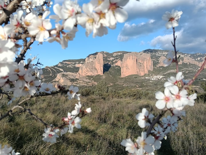 Maison Rurale Avec Cheminée - Ayerbe