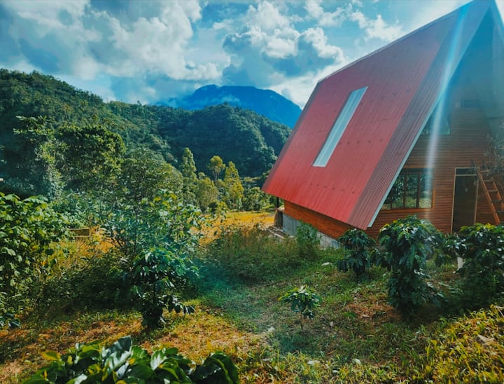Cabaña En Oxapampa - Villa Rica