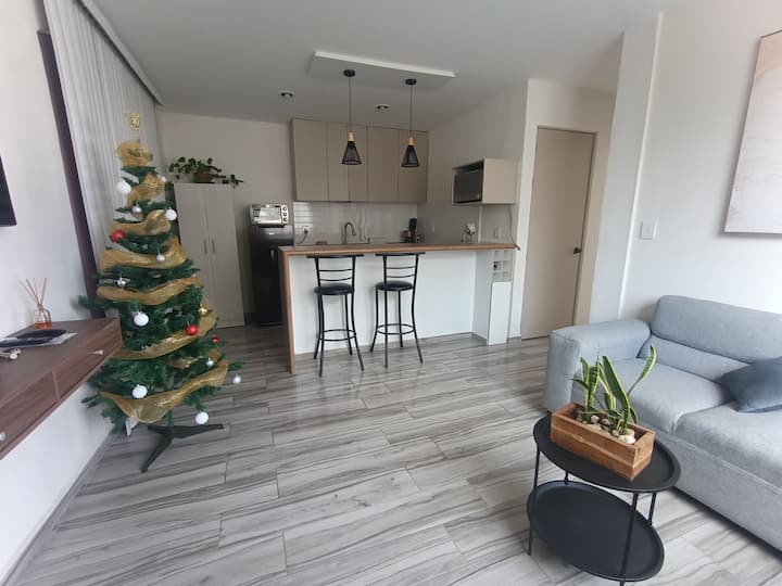 Loft W/private Entrance And Access To Roofgarden - Querétaro