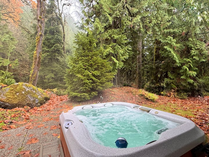Getaway In The Nature-home W/hot Tub&massage Chair - North Cascades National Park