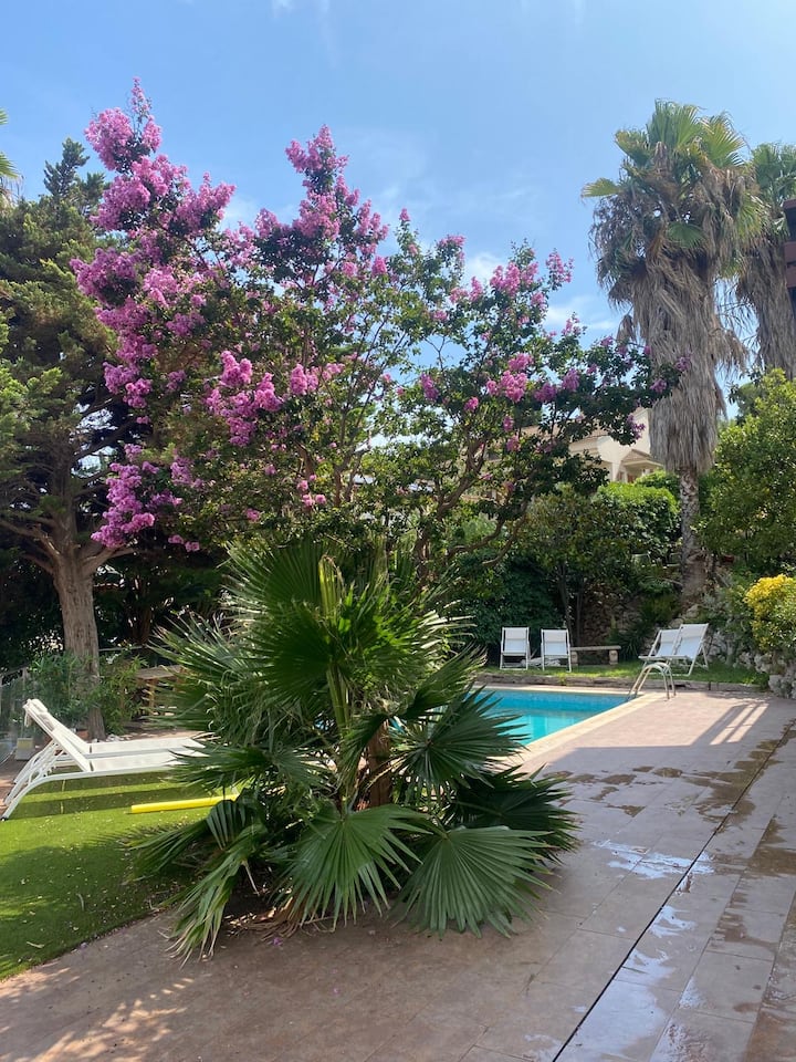 New 14 Person Villa Sant Pol - Calella