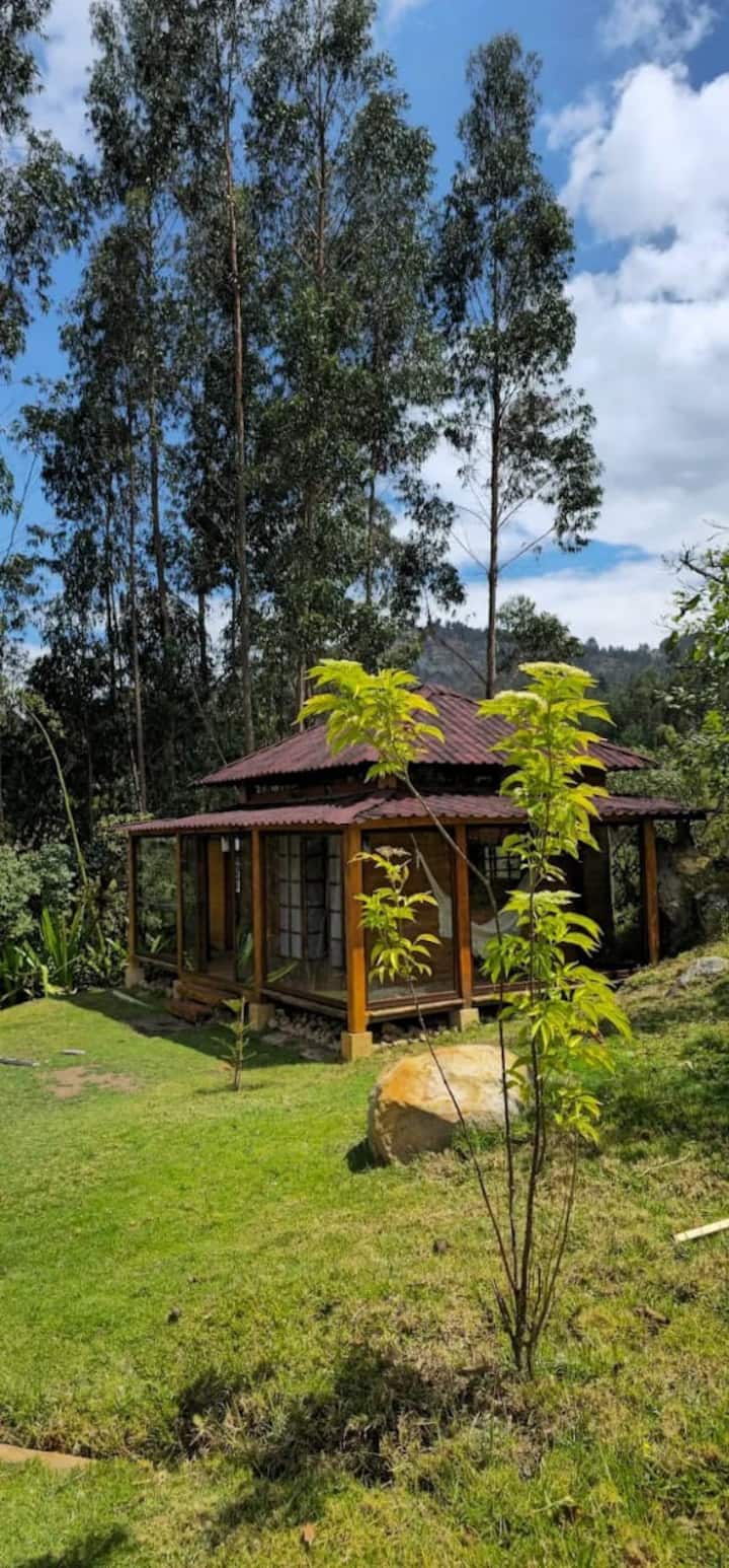 Mycelium Biolodge, Paz Y Tranquilidad. - Sogamoso
