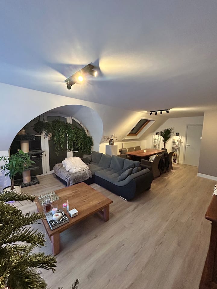 Tomorrowland 2026 Rooftop | Fireworks View - Boom