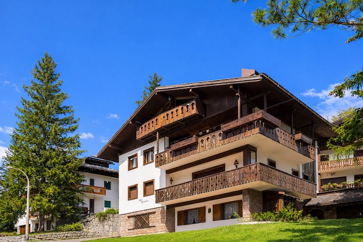 Accogliente Appartamento In Bellissimo Chalet - Selva di Cadore