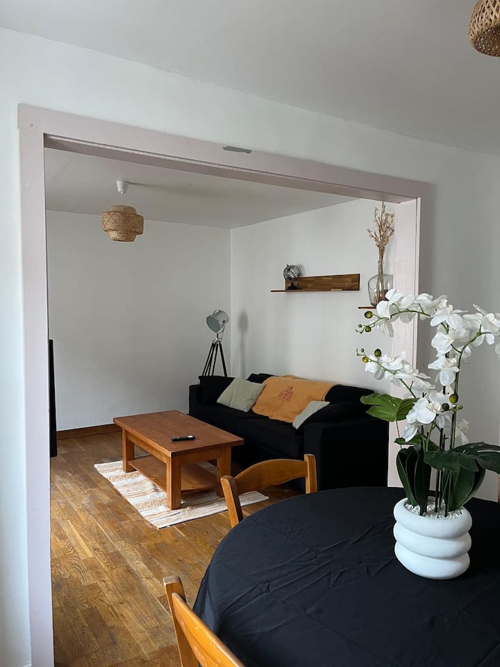 Charmant F2 Rénové Centre-ville - Épinal