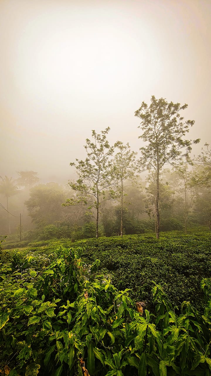 Vidyas Retreat's Rustic Roots- Farm Staycation - Thekkady