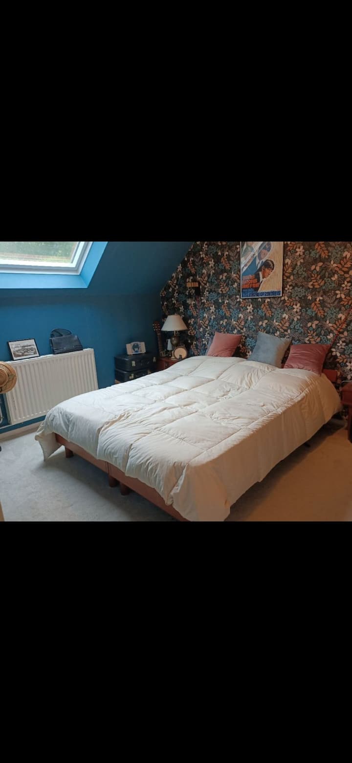 Chambre à Louer 24h Du Mans Auto Et Toute L'année - Le Mans