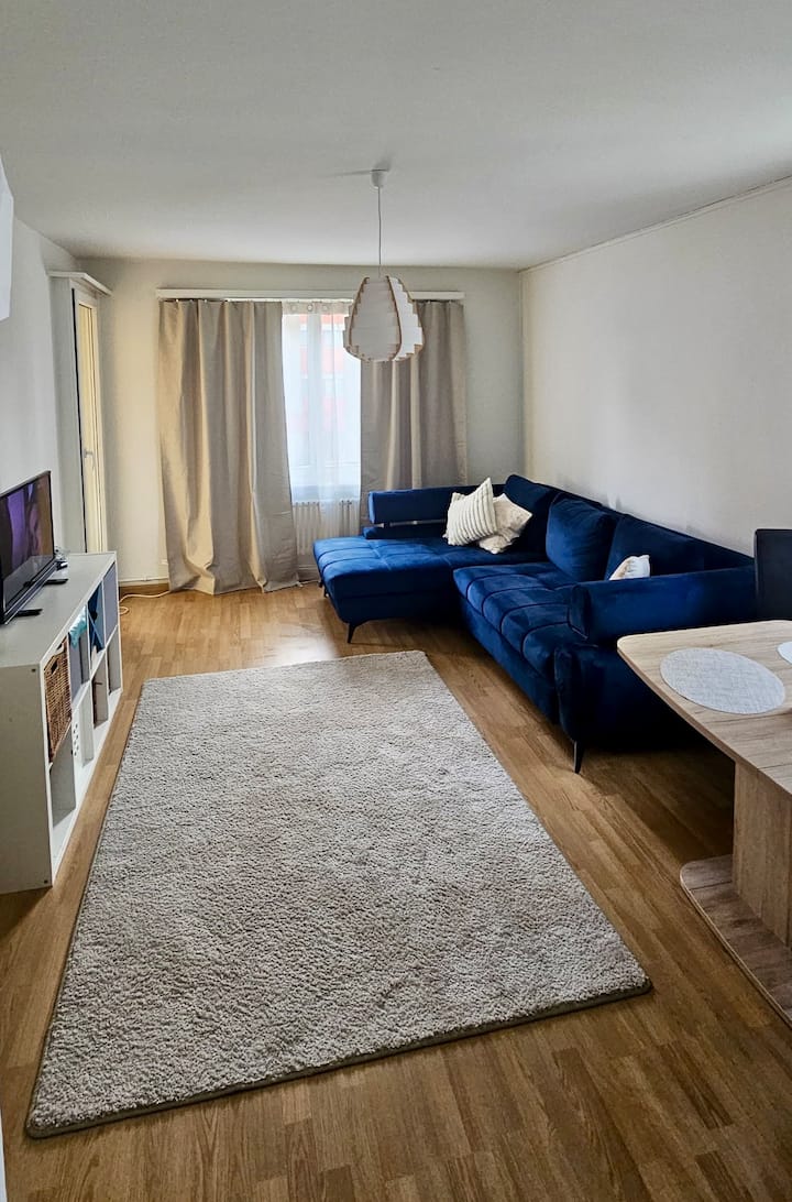 Apartment In Basle - Huningue