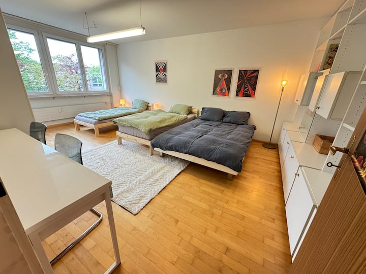 Ruhige City-oase Für Familien - Bâle