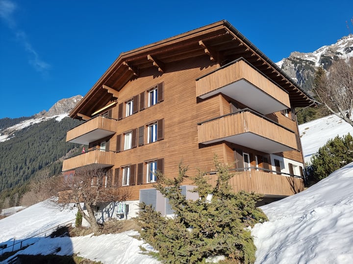 Steinbock, Lus 1306f, 3823, Wengen - Mürren