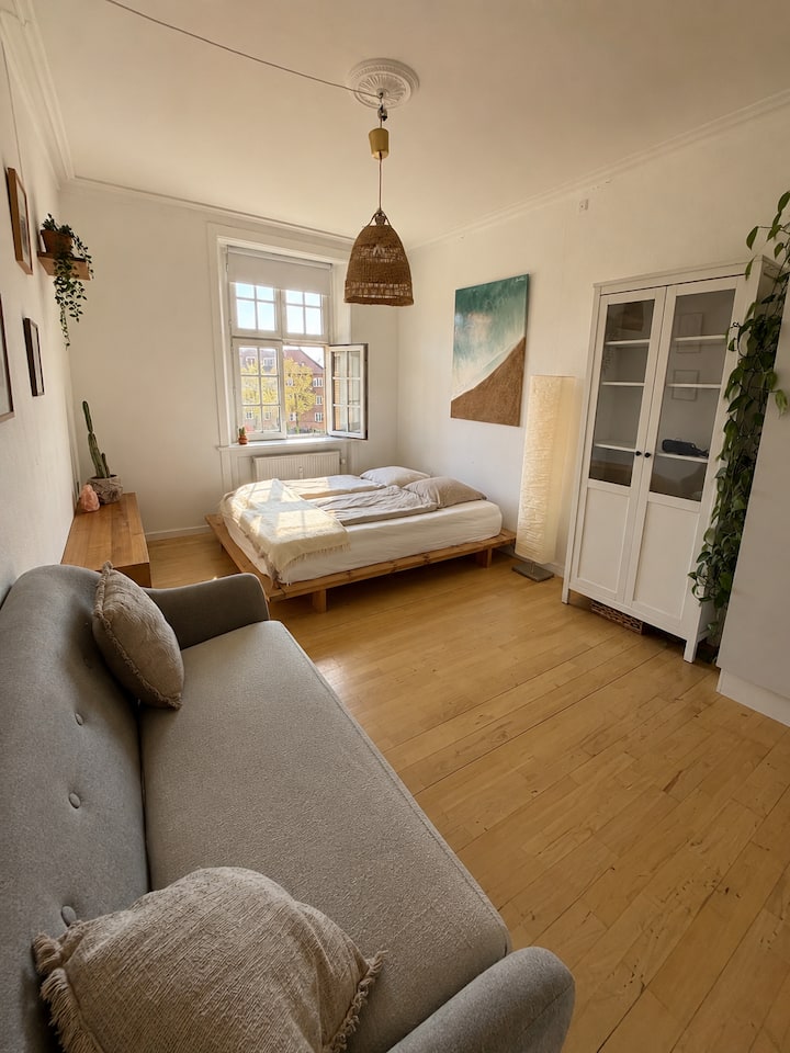 Hyggelig Københavner Bolig - Copenhaguen