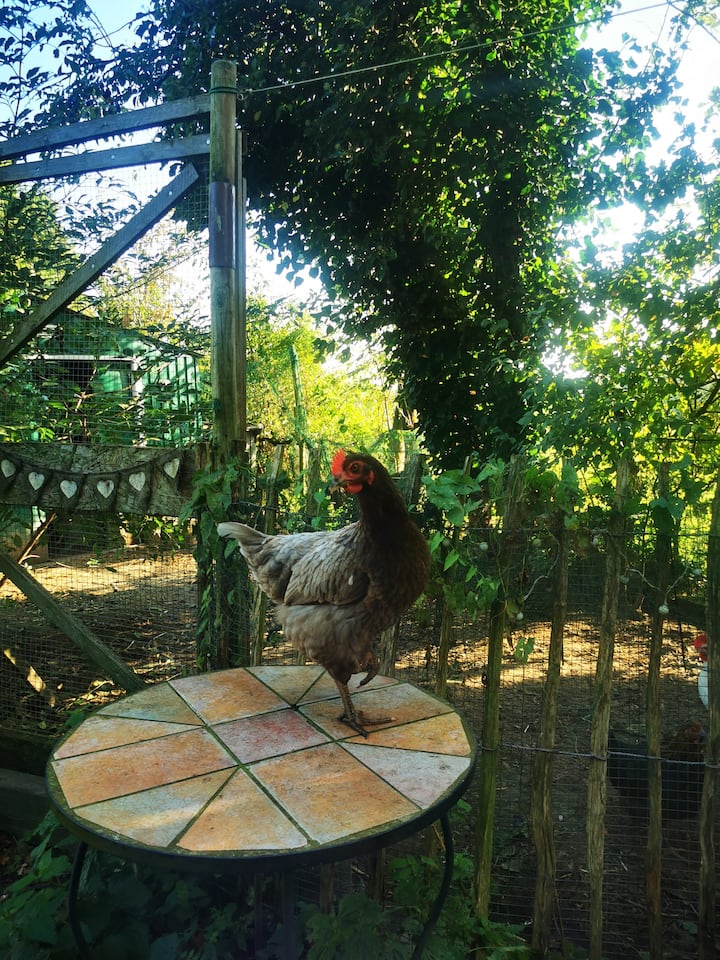 Barrier-free - Witten