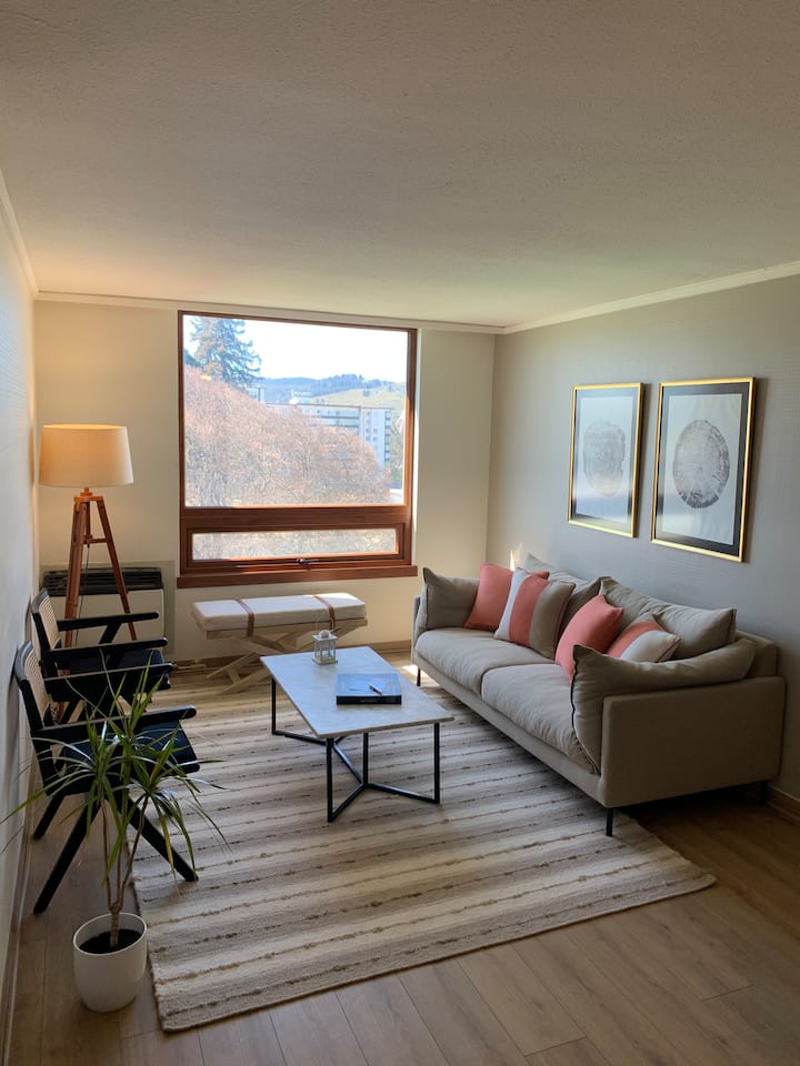 Sector Avenida Alemania - Temuco