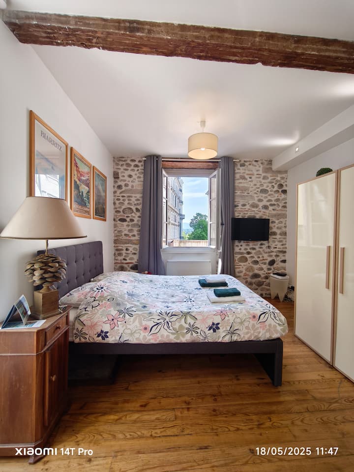Studio Au Charme Du Béarn - Pau