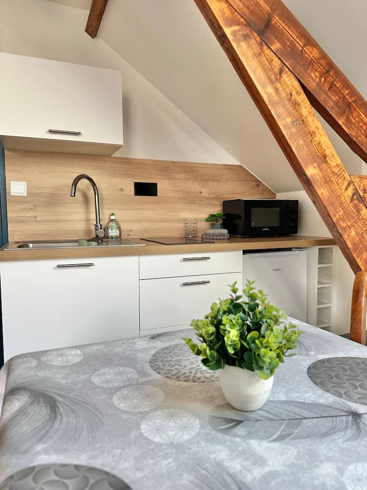 Eden - Charmant Studio Au Cœur De Berck-plage - Plage de Berck