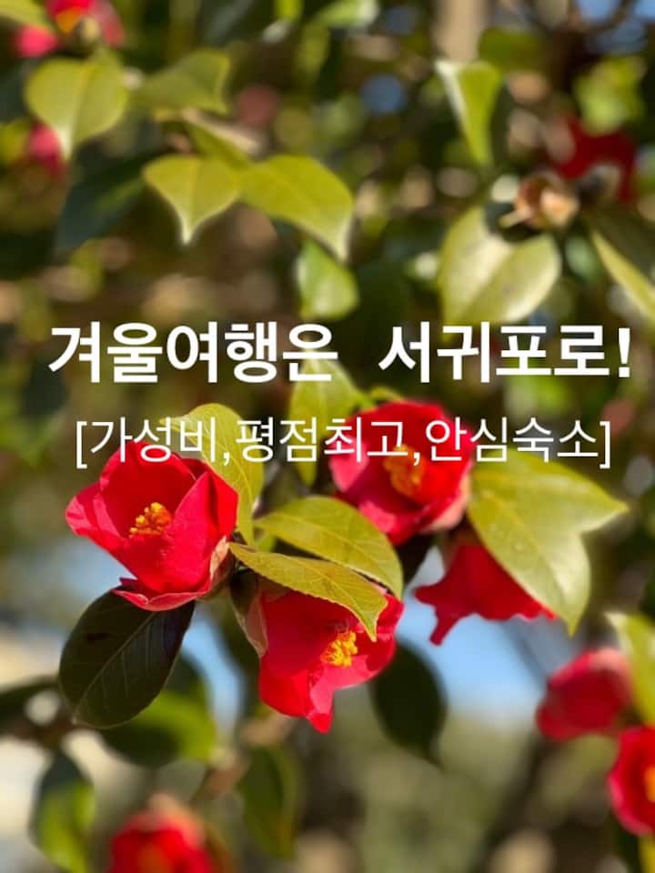 서귀포 바닷가 5분,생활의 편리함과 제주 감성을 모두 담은 스테이,단기/장기 - Seogwipo-si