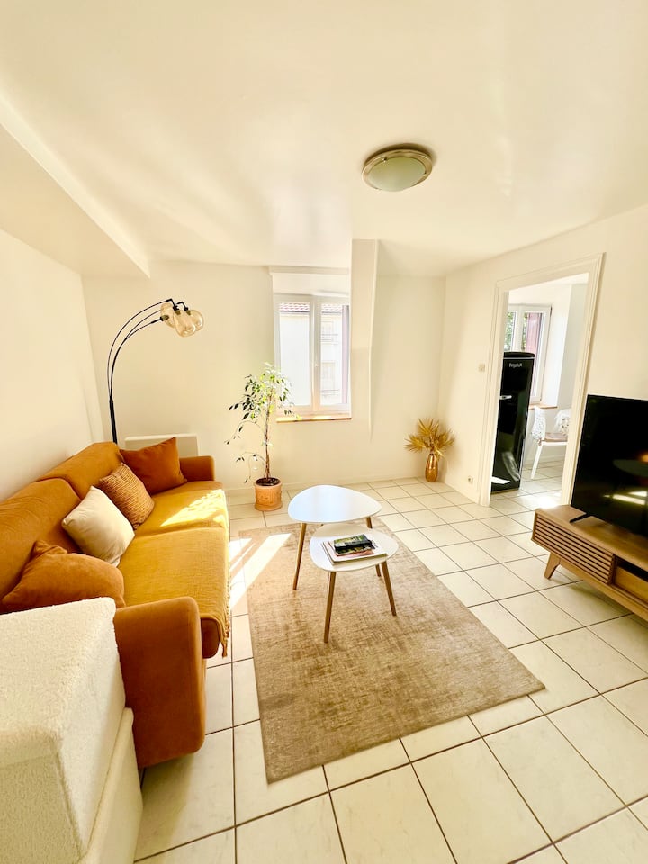 Source Antoine - F2 De Charme - Vichy