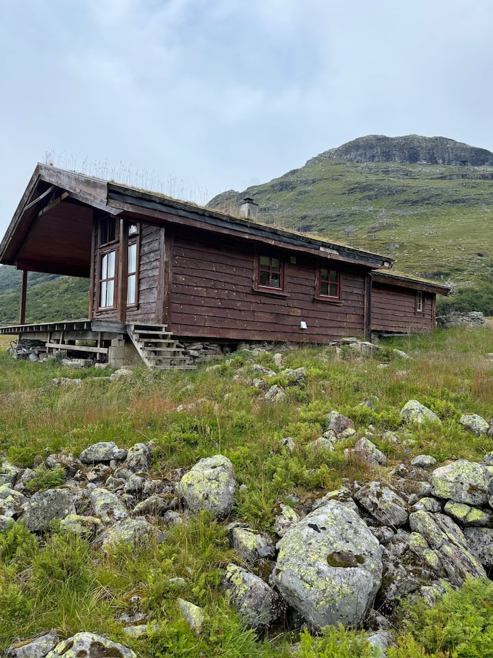 Vill Norsk Natur, Mellom Preikestolen & Trolltunga - Nesflaten