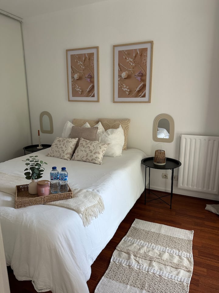 T2- Cosy & Design - Toulouse