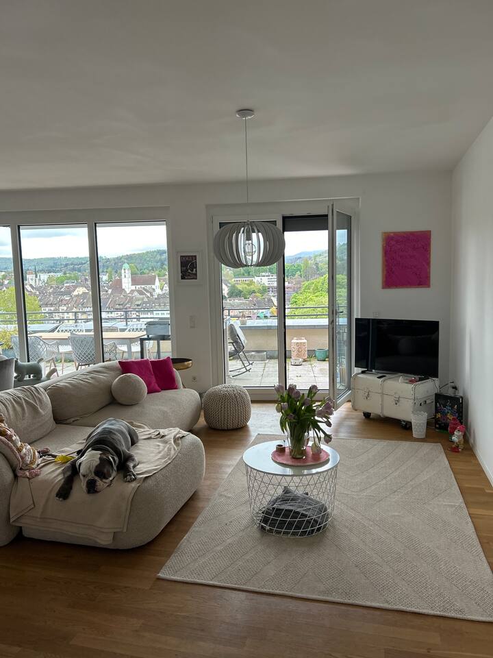 Penthouse Wohnung Am Rhein - Rheinfelden