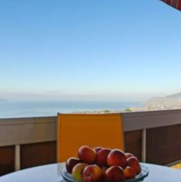 Montreux Panorama - Vevey