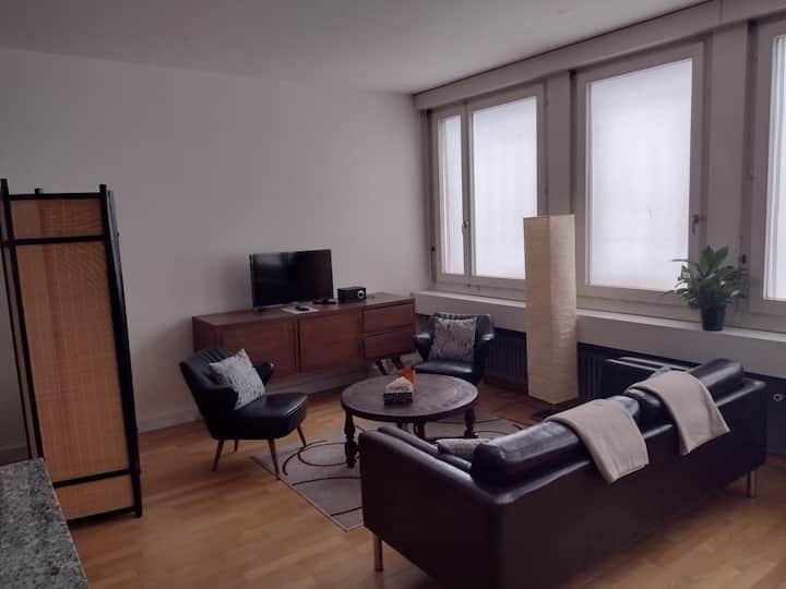 Airy And Central Apartment In Zurich - Zürich