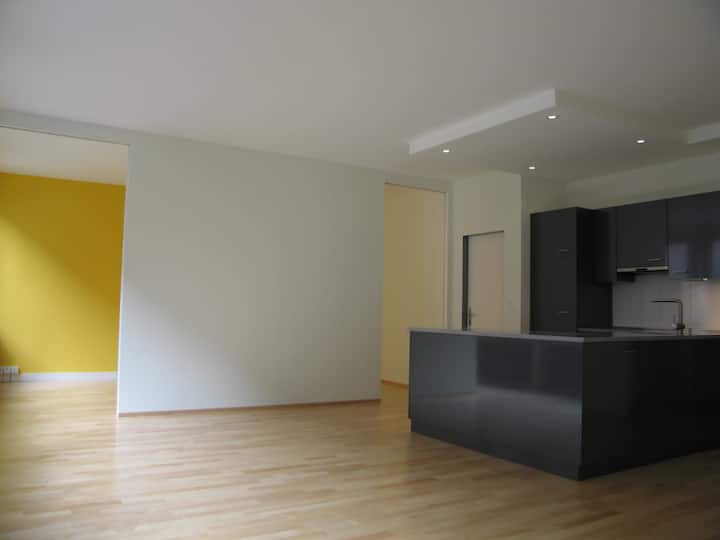 Central An Airy Apartment In Zurich From 15th May - Zürich
