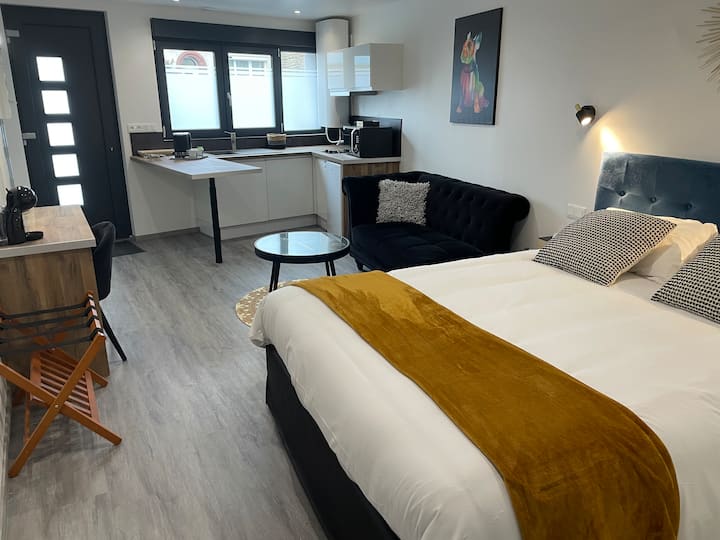 Studio 269 Bis - ibis Styles Flers