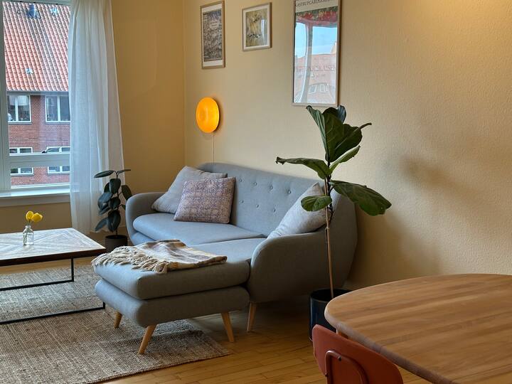 Charmerende Lejlighed Med Gratis Parkering - Århus