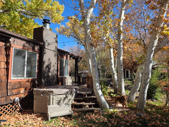 The Martini Cabin At Sycamore Cove - Sedona, AZ