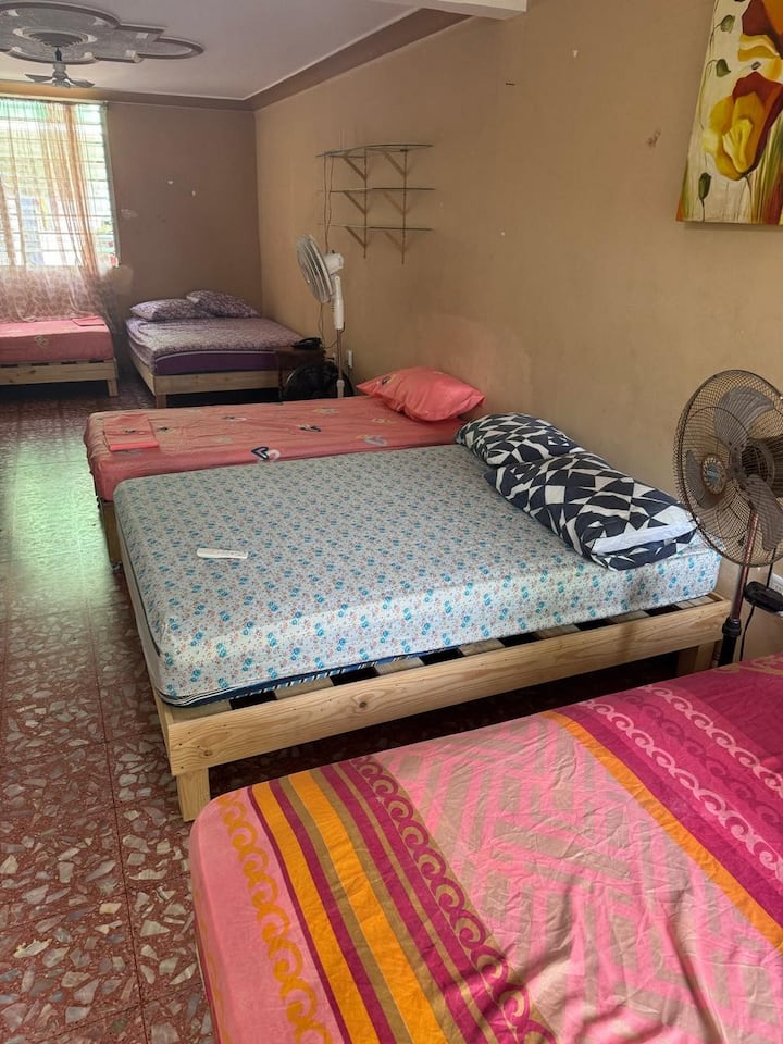 Plantabaja Acuario Veracruz Reserva What228ll5476o - Boca del Río