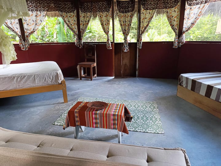 Spacious, Window House - Nauta