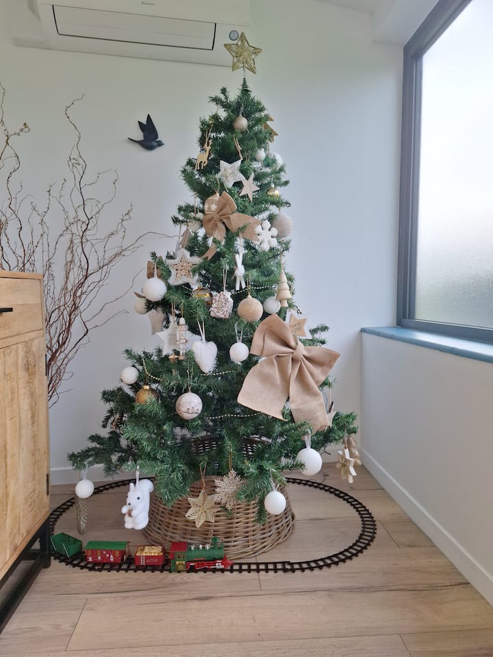 Le Carroussel 
" Charme Flamand, Repos, Promenade" - Aire-sur-la-Lys