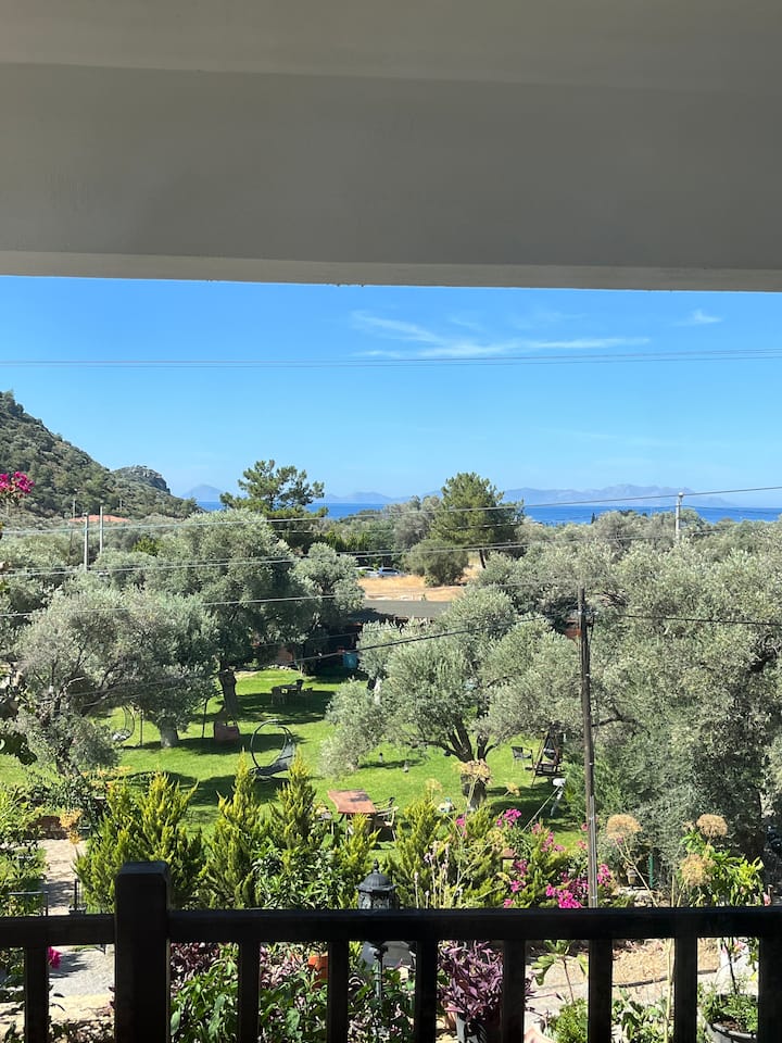 Olive Garden Limon Ev - Mesudiye