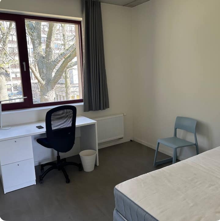 Basic Studio In Antwerp Green. - Niel