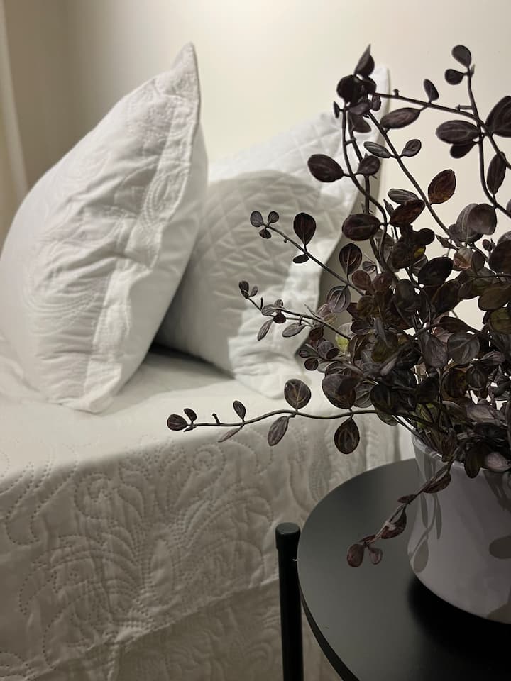 Cozy Studio - Vila Velha