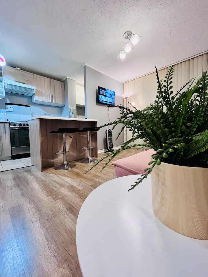 Amplio+ Wifi + Parking + Calefacción + Tv - Chillan