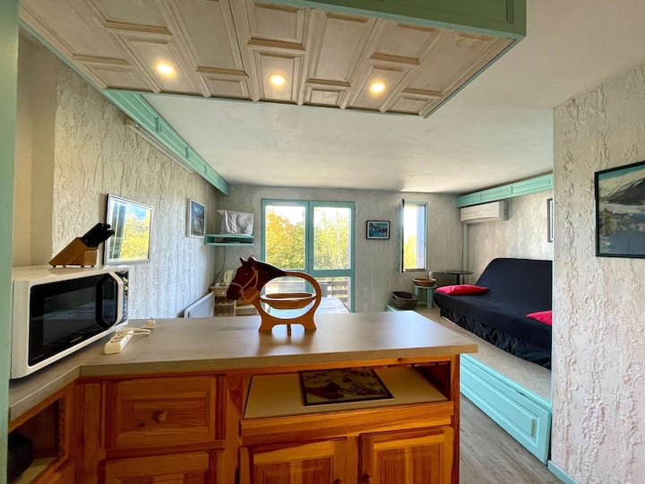 Studio 4 Per. Bonascre, Proche Piste - Plateau de Beille