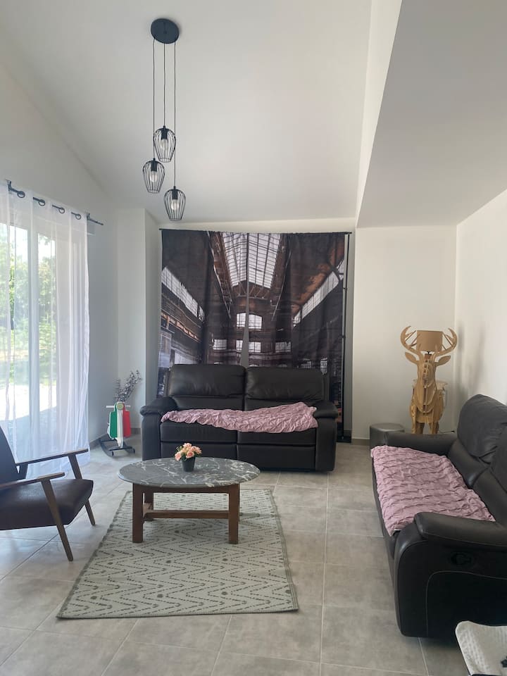 Maison Rénovée L Jardin L Parking Privé - Albi