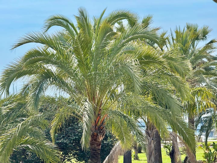 Appartement Croisette Vue Mer - Cannes