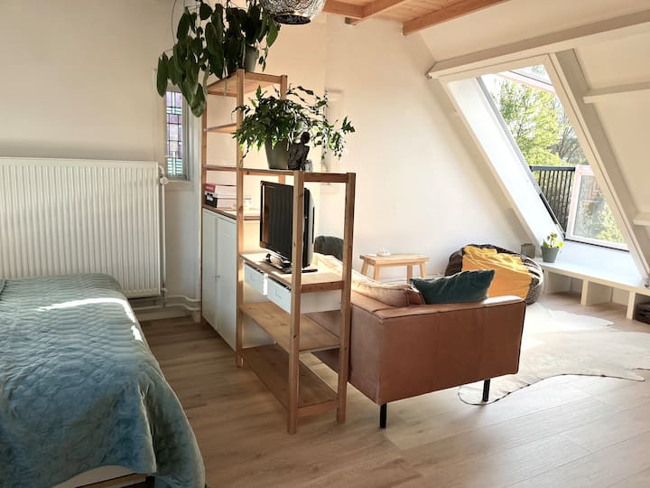 Unieke Zolder Loft Tegenover Stadspark - Eindhoven