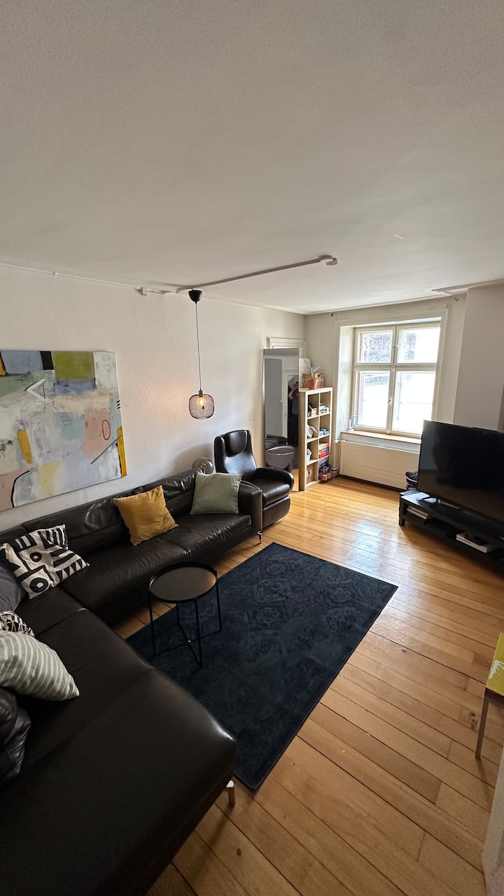 Schöne Altbauwohnung - Basel