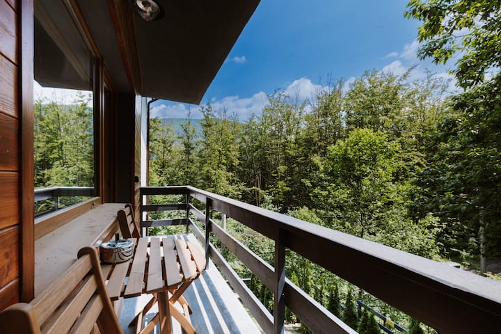 Studio In Our Villa With Balcony & Mountain View - Sinaia