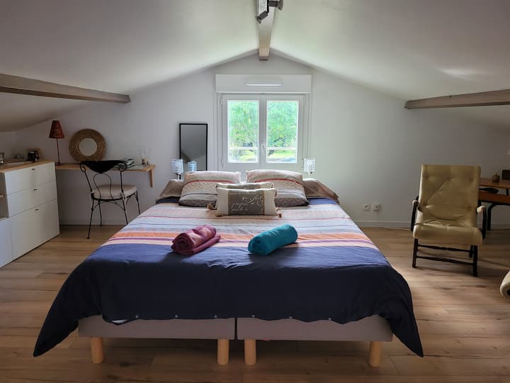 Chambre Tribord - Andernos-les-Bains