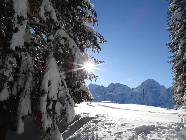 Delizioso Trilocale Dolomiti - Sappada