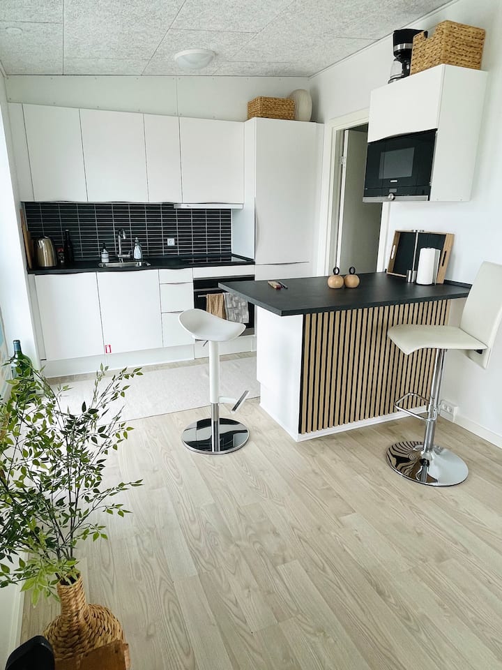 Midtown Apartment - Groenland