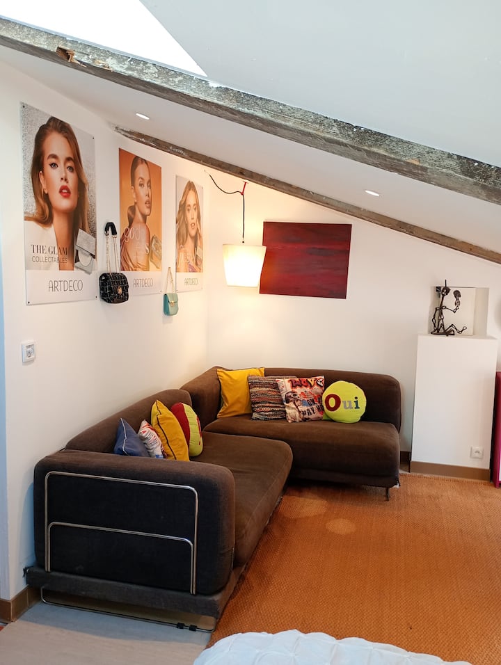 Chambre Privée Avec Salle De Bain Et Wc Privée - Cabriès